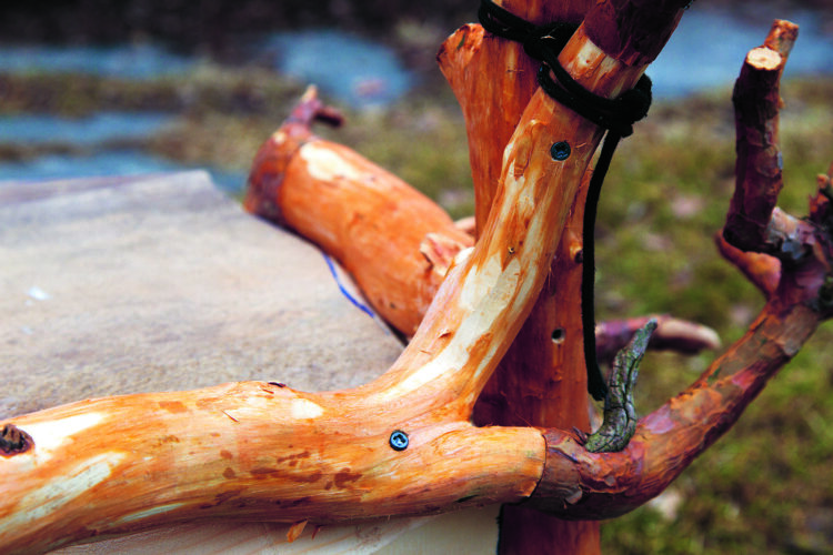 DIY Pine Branch Chair - Grit